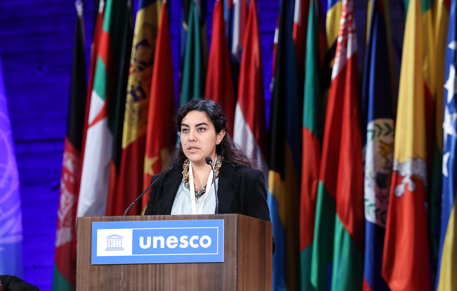 New Humanity NGO at the 42nd session of the UNESCO General Conference ...